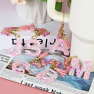 Vmini Letter Charms Accessories for Stanley Cup with Handle, Pink Initial Charm for Bogg Bag, Cute Keychain Handle Charm Decor for Stanley & HydroJug & Brumate Tumbler with Pink Butterfly & Tassel (C)