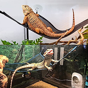Magnoloran 4 Pack Bearded Dragon Lizard Hammock Reptile Swing Hanging Bed Lounger Breathable Mesh Hammock Habitat with Suction Cup Suitable for Iguanas, Anoles, Geckos, Snakes, Chameleon