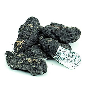 Barn Owl Pellets - Large - Pack of 6