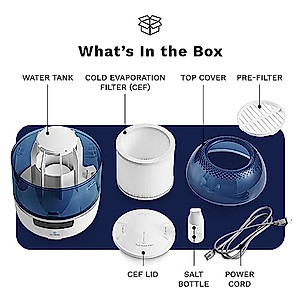 DH Lifelabs | Aaira Mini Hydrating Dry Air Purifiers | Eliminates 99.9% of Bacteria Viruses Mold | Cleans Moisturizes Air | Odor Eliminator Smoke Pets | 323 Sq Ft for Large Room Bedroom Home | Blue