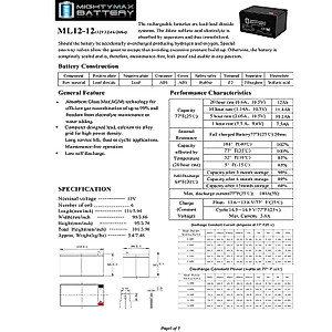 Mighty Max Battery 12V 12AH Compatible Battery for 6-DZM-12 APC Scooter Medical - 4 Pack