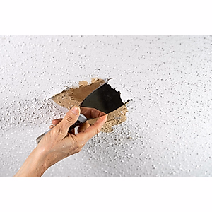 Hyde 09954 Popcorn Ceiling Repair Kit, White