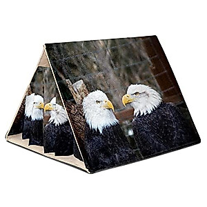 Y-DSIWX Guinea Pig Hideout House Bed, Bald Eagles Animal Rabbit Cave, Squirrel Chinchilla Hamster Hedgehog Nest Cage