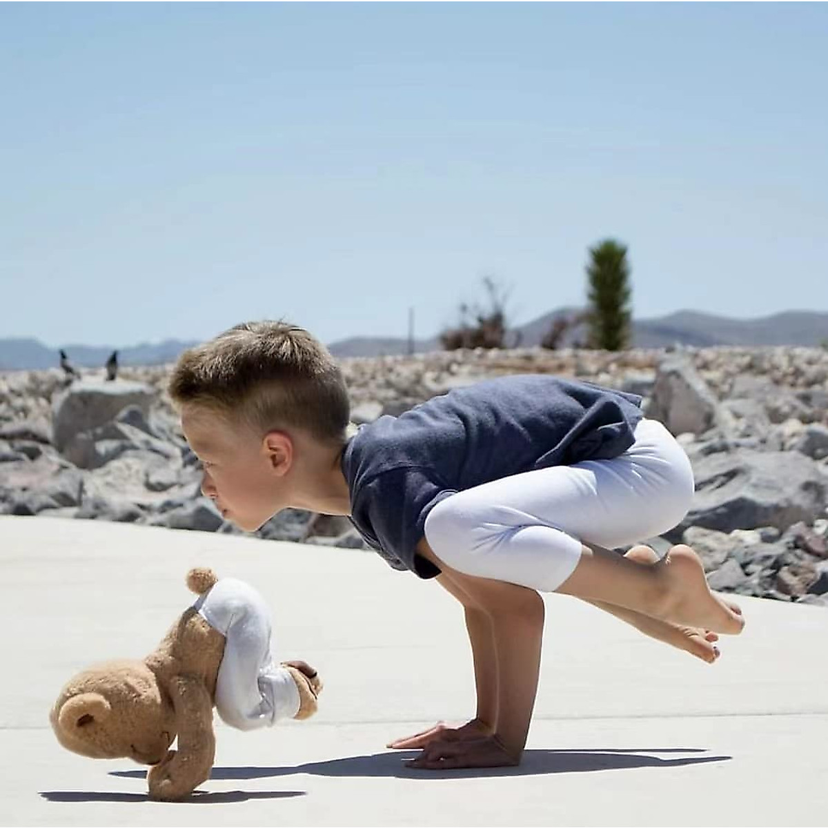 Meddy Teddy The Yoga Bear