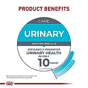 Royal Canin Feline Urinary Care Thin Slices in Gravy Wet Cat Food, 3 oz can (24-count)