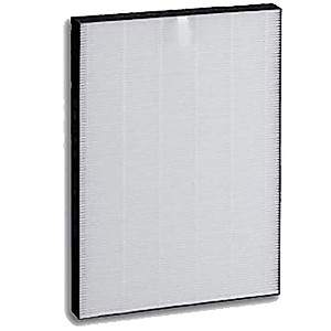 GOODVAC Replacement for Sharp HEPA FZ-A40SFU FP-A40UW Air Purifier Filter by GoodVac