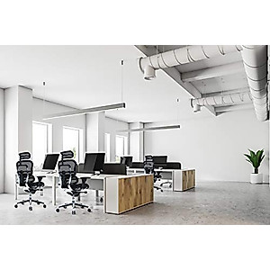 Eurotech Seating Ergohuman High Back Mesh Managers Chair, Black