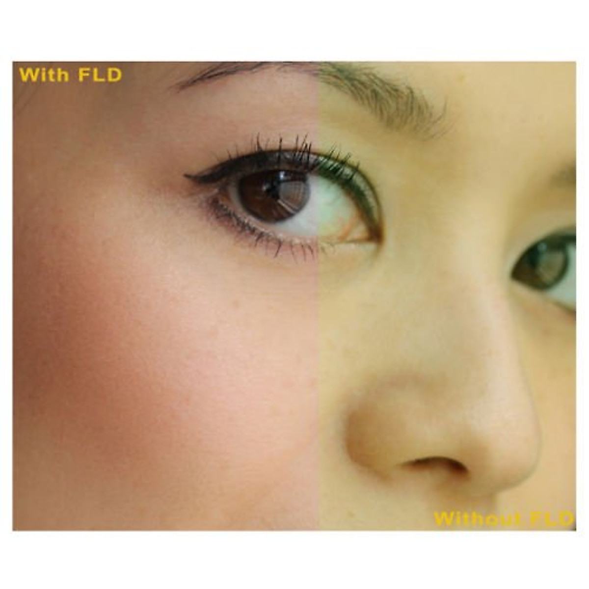 Nikon COOLPIX L840 0.43X High Definition Super Wide Angle Lens (includes Lens Adapter) + 3 Piece Filter Kit + Nw Direct Micro Fiber Cleaning Cloth