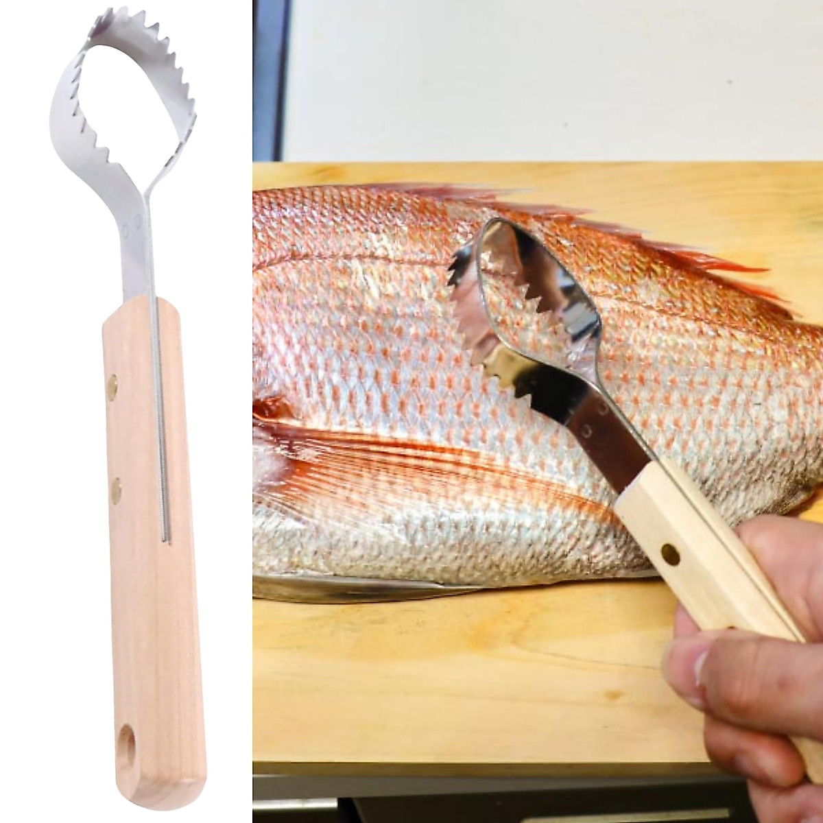 Kanda Fish Scaler Remover Tool Scraper 2Way Fast Cleaning Fish Skin, Stainless Steel with Wooden Handle, Easy and No Mess, Made in Japan