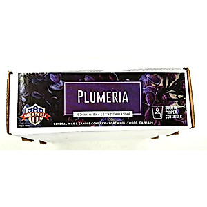 Purple Plumeria Scented Votive Candles - 15 Hour Long Burn Time - Textured Finish - Box of 20