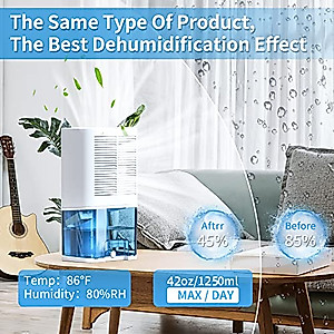 68oz 7900 Cubic Feet（810 Sq.ft）Dehumidifiers for Home Bathroom Room Basements,Quiet Dehumidifier With Drain Hose & Auto Shut Off, Portable Small Dehumidifiers for Bedroom Closet RV