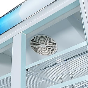 KoolMore MDF-2GD-45C-WH 53 in. Commercial Two Glass Door Display Upright Freezer Merchandiser in White 45 Cu. Ft