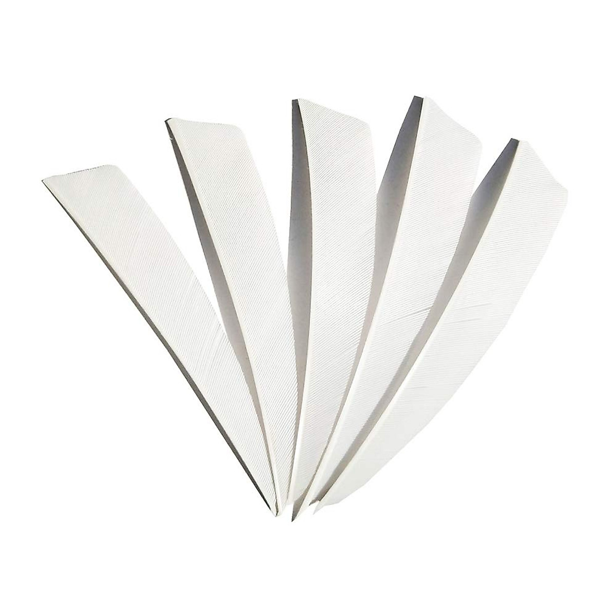 HNZMDY 50 Pcs 4 Inch 5 Inch Archery Arrow Fletching Turkey Feather Fletching Right Wing Left Wing Feather Real Arrow Vanes for Hunting Arrow Accessories DIY Archery (5 inch/Right Wing, White)