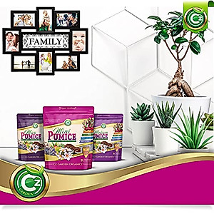 Pumice Stone Grow Media - Made in USA for Bonsai • Succulents • Cactus • Orchids - Horticultural Soil Amendment Additive Conditioner for Indoor and Outdoor Plants and Organic Gardens