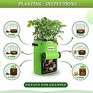 Potato Grow Bags with Flap, 4 Pack 10 Gallon Planter Bags with Harvest Window and Durable Handles, Garden Non-Woven Fabric Grow Bags for Potato Tomato and Vegetables