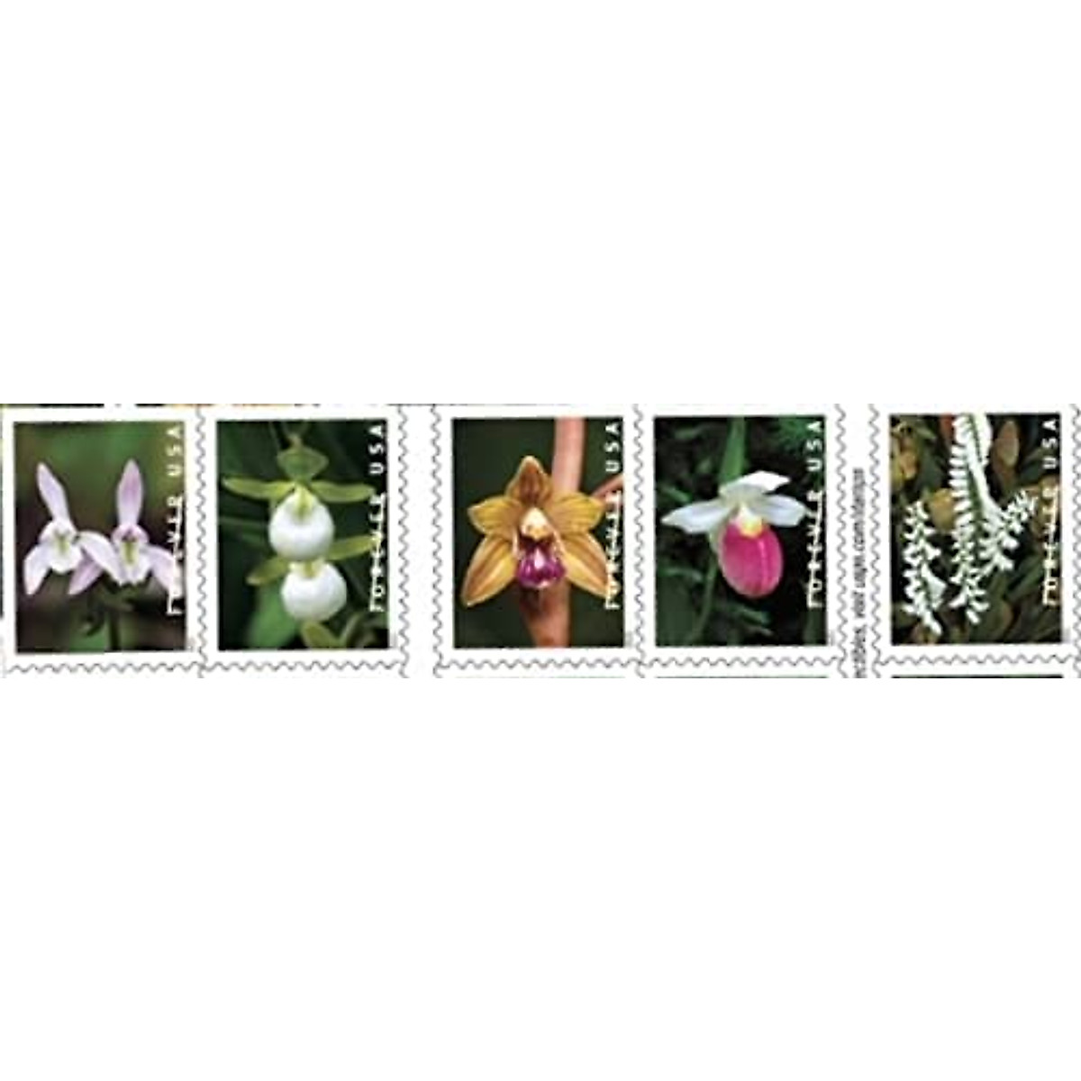 USPS Wild Orchids Flowers Forever Stamps Postal First Class US Postage Stamps Birthday Wedding Celebration Engagement Anniversary Bridal Shower (Strip of 10)