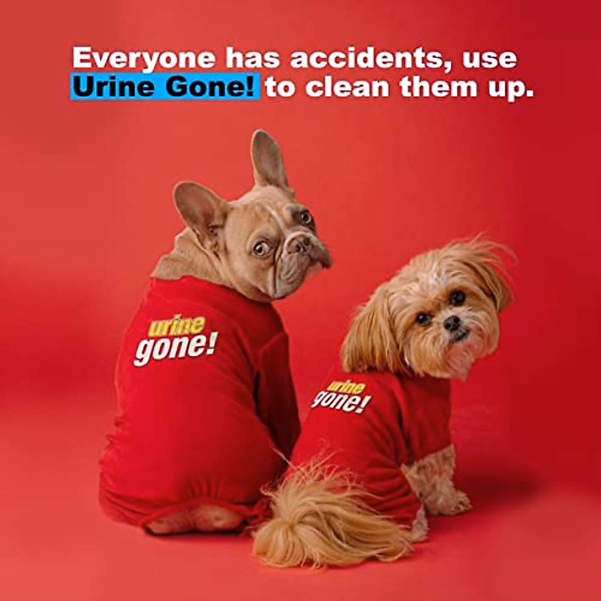 Urine Gone Stream Clean, Heavy Duty Carpet Stain & Odor Eliminator Deep Cleans with Fast Acting Natural Enzymes + Probiotics Eliminating Stains and Odor Permanently, No Scrubbing, 18 oz. (1pack)