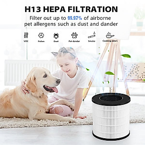 AC201B/PU-P05 Replacement HEPA Filter for FULMINARE PU-P05 Purifier also Compatible with Purivortex AC201B Purifier, H13 True HEPA P05 Air Filter, 2-Pack