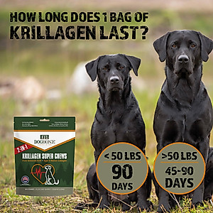 DogBone Krillagen Super Chews Dog Health Supplement | Dog Joint Supplement | Dog Health Supplies | Omega 3 for Dogs | Dog Supplements and Vitamins | Collagen Chews for Dogs| Krill for Dogs