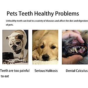 LINGXIYA Pet Toothbrushes Dog Cleaning Toothbrush Extra Soft Dog Toothbrushes for Puppy Small Dog and Cat Teeth Care Dog Toothbrush Pet Cat Dog Toothbrush 4 Pack Kit (Blue/Black/Pink/Brown)