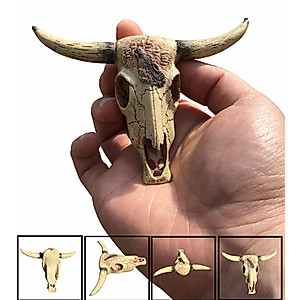 AWXZOM Desert Reptile Decor Skull Fish Tank Decorations Bearded Dragon Accessories Desert Reptile Decor Bearded Dragon Decor, Snake Tank Decor (Cattle+ Dinosaur)