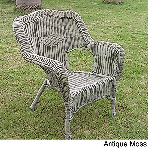 International Caravan Furniture Piece Camelback Resin Wicker Patio Chairs (Set of 2)