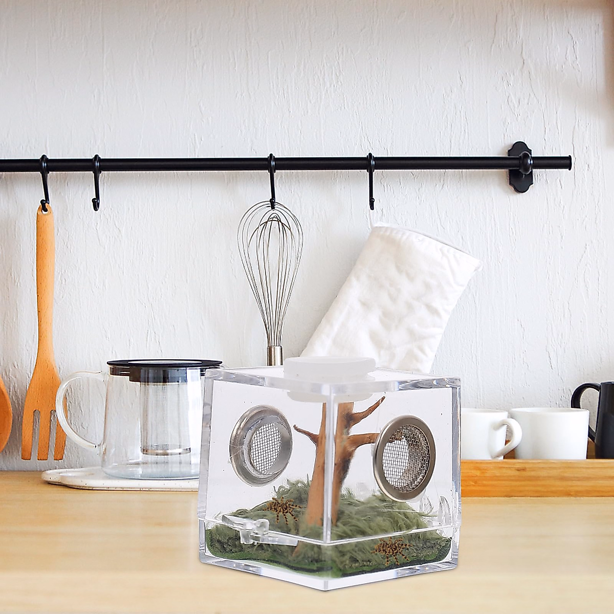 VILLCASE Glass Containers Spider Terrarium, Acrylic Reptile Breeding Box Jumping Spider Enclosure with Dropper Tongs for Tarantula Scorpion Sling Snake Gecko Amphibia