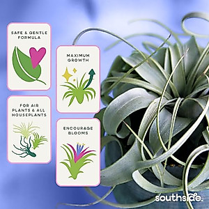Air Plant Fertilizing Spray by Southside Plants - Fertilizer Mist for Houseplants, Weekly Plant Food - Gentle Mist Formula for Miracle Feed & Grow - 7.3 oz