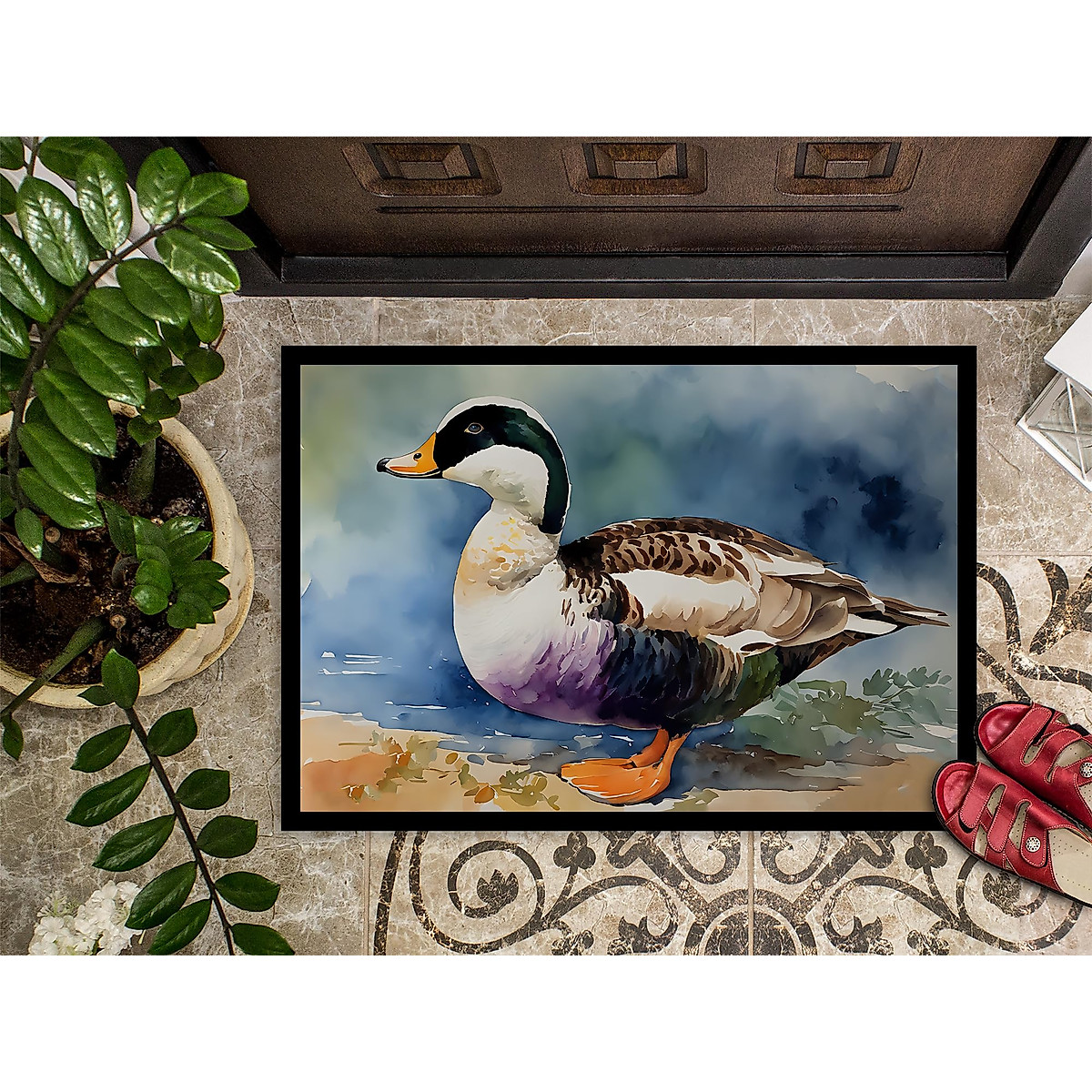Caroline's Treasures DAC3204MAT Common Eider Duck Doormat Front Door Mat Indoor Outdoor Rugs for Entryway, Non Slip Washable Low Pile, 18H X 27W