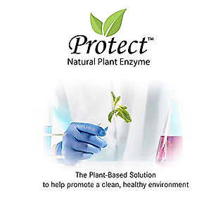 DWD2 Protect™ Automotive Mold Treatment - Revitalize Your Car's Interior The Green Automotive Mold Treatment Solution. Say Goodbye to Unpleasant Odors and Hello to a Fresh and Protected Cabin (FOGGER)