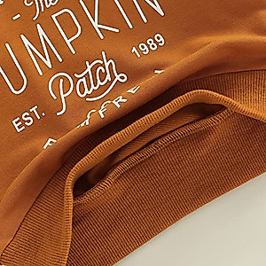 Toddler Baby Girl Boy Halloween Outfit Pumpkin Patch Crewneck Sweatshirt Pullover Sweater Fall Halloween Clothes (Hand Picked The Pumpkin Patch-Brown,6-12 Months)