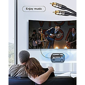 RCA Cable, RCA to RCA Audio Cable,Subwoofer Cable Dual Shielded with Gold Plated RCA to RCA Connectors-Black (8FT)