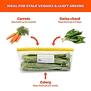 Full Circle Ziptuck Reusable Produce Bags - Set of 3 BPA-Free Food Storage Bags Includes Fruit Bag, Stalks Bag and Large Veggie Bag - Leakproof Ziplock Seal Food Saver Bags