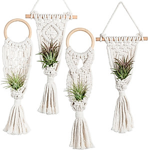 Melphoe 4 Pack Air Plants Holders Air Fern Macrame Plant Hanger Indoor Hanging Planter Basket for Tillandsias Display Air Plant Stand, Boho Home Decoration Gift Idea