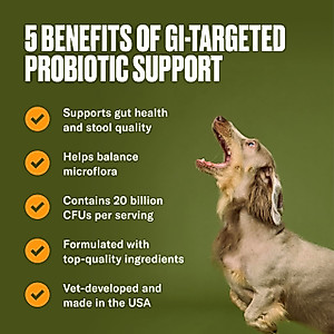 Nom Nom Dog GI-Targeted Probiotic Support - with Prebiotic Fiber, Inulin, and Saccharomyces boulardii - Gut Health Dog Probiotics for Gastrointestinal and Stomach Relief (GI Powder)