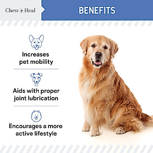 Chew + Heal Labs Liquid Glucosamine for Dogs Hip and Joint Supplement - 16 oz Bacon Flavored Advanced Mobility Support - Made with Glucosamine, Chondroitin, MSM, Turmeric, and Green Lipped Mussel