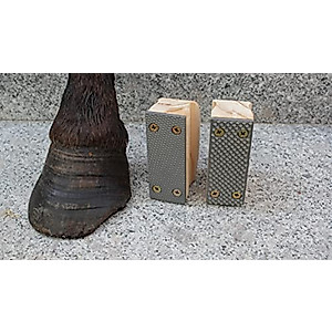 Mini Farrier Rasp with Wooden Handle Fine Tooth, Micro Equine Hoof Rasp File with Wood Handle,Save Edge Farrier Hoof Rasp for Foals, Horse, Goats,Hogs Trimming (Fine Tooth)