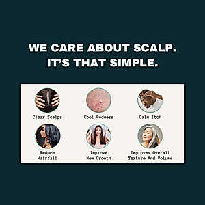 Bea's Bayou Dry Scalp Shampoo for Itchy Scalp Treatment - Anti Dandruff Shampoo - Flakes Shampoo, Probiotic Extracts Microbiome - Dandruff Treatment | Seborrheic Dermatitis Scalp Treatment - 12 Fl Oz