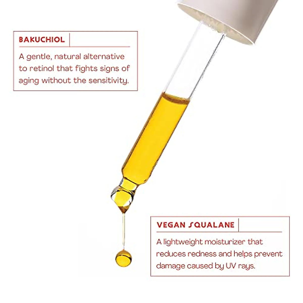 Bodysurf Face Oil, Marine Layer | Natural Retinol Alternative Facial Oil with Squalane, Niacinamide, Bakuchiol | Lightweight and Hydrating Face Oil for Women