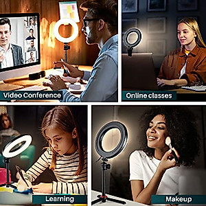 Weilisi 6.5'' Ring Light for Computer, 3 Light Modes Video Conference Lighting, Mini Ring Light Selfie Ring Light for Laptop, Webcam, Zoom, Desk