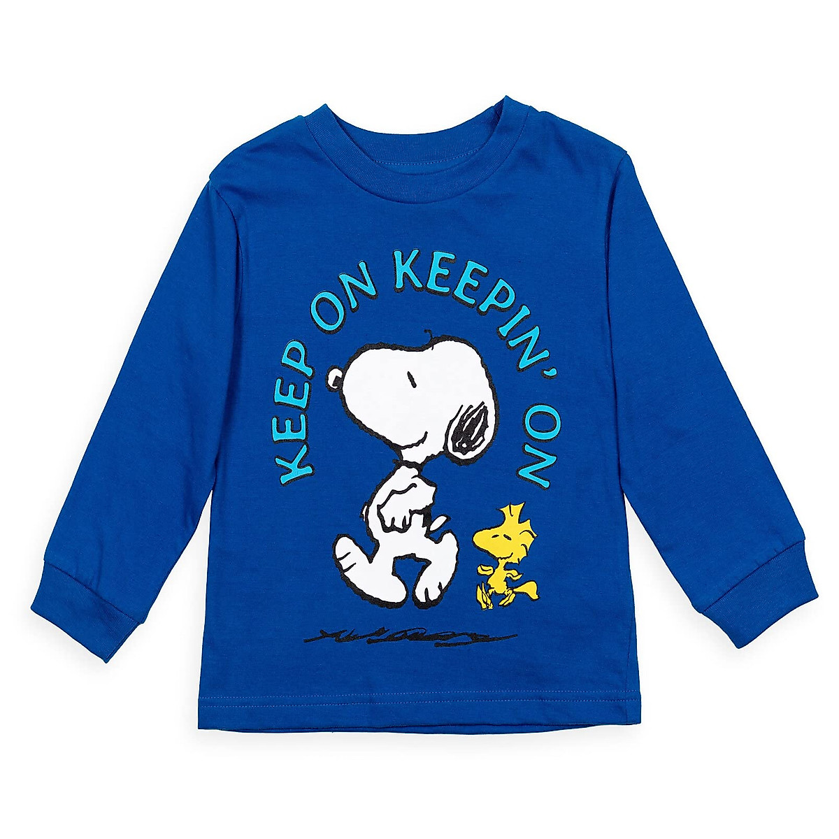 Peanuts Snoopy Charlie Brown and Friends Little Boys 2 Pack T-Shirt Blue/Grey 7-8