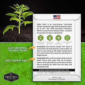 Survival Garden Seeds - Noble Spinach Seed for Planting - Packet with Instructions to Plant and Grow Enormous Spinach Greens in Your Home Vegetable Garden - Non-GMO Heirloom Variety