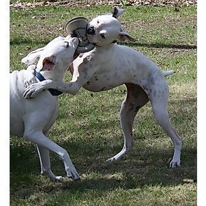 Honest Pet Products 9" Eco-Fetcher, Fetch Dog Toy for Large Dogs Breeds, Made from Natural Durable Hemp, Interactive, Eco-friendly | Made in USA