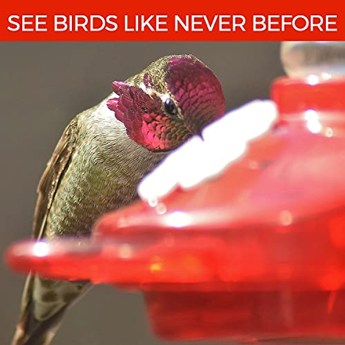 Large Leak Proof Window Hummingbird Feeders for Outdoors Hanging - Ant and Bee Proof - Window Hummingbird Feeder for Outdoor - Hummingbird Feeder Window Mount