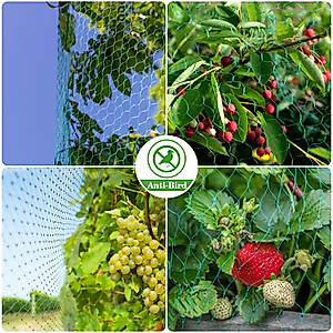 Sukh Bird Netting for Garden 13x33ft - Garden Netting Mesh Netting for Garden Protection Heavy Duty Bird Netting Garden Fence Plant Netting Chicken Netting Poultry Netting