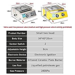 Stainless Steel Burner Gas BBQ for Outside Garden Grill BBQ with Fat Catcher, Tabletop Gas Grill Stainless Steel Two-Burner BBQ with Updated Knobs, Perfect for Camping, Picnics or Any Outdoor,Silver
