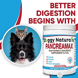 PancreaMax 10x Pancreatic Enzymes for Dogs and Cats (12 oz) Powder (Made in U.S.A). Pancreatin 10X for Dogs and Cats Contain Pancreatic Enzyme, High Strength, Low Odor.(10x Porcine Pancreatin)