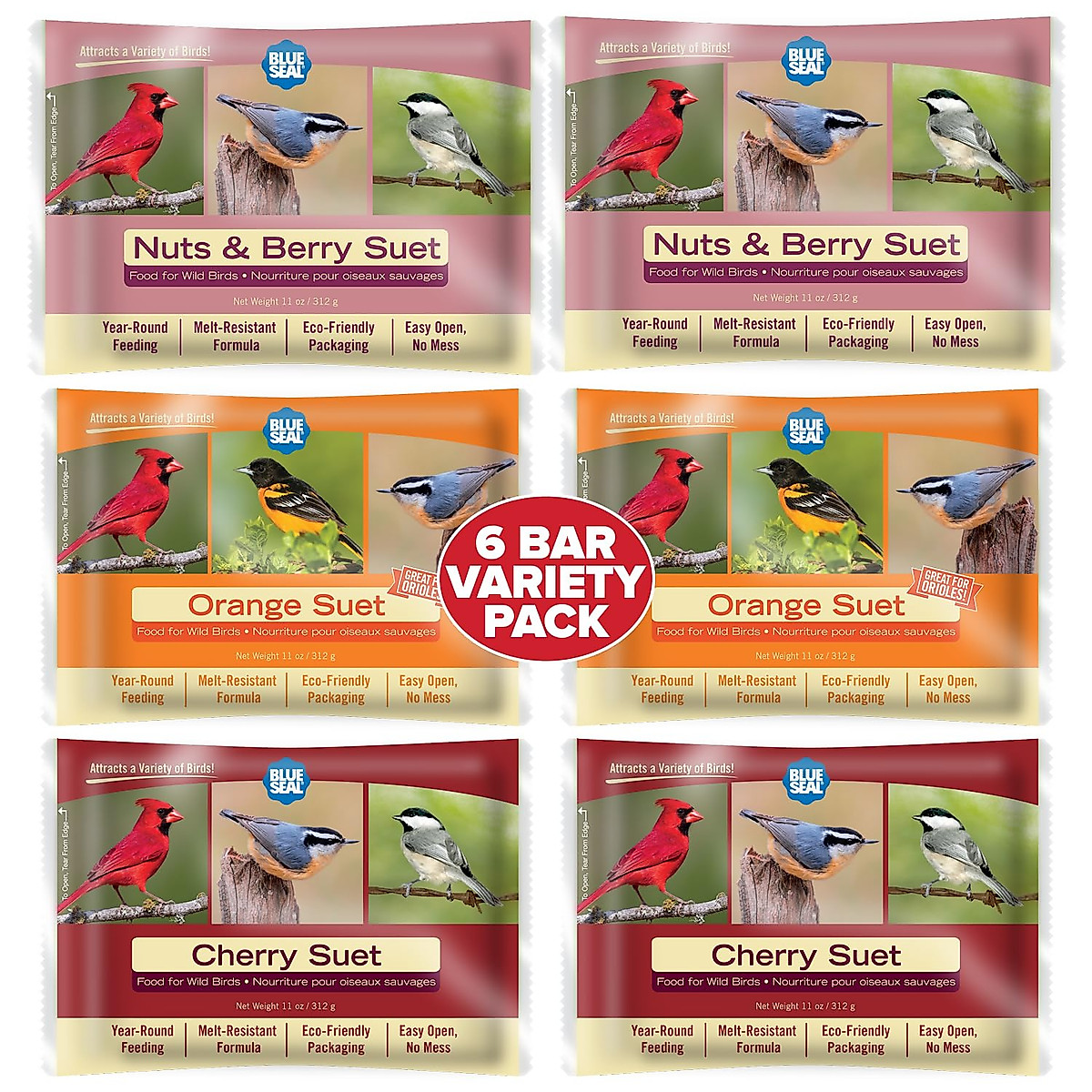 Blue Seal Berry Blend Suet Cakes for Wild Birds - No Mess Suet Feed, Food for Woodpeckers, Cardinals, Siskins, Sparrows & More - 11oz Suet Feeder, Bird Seed Cakes (Variety Pack of 6)