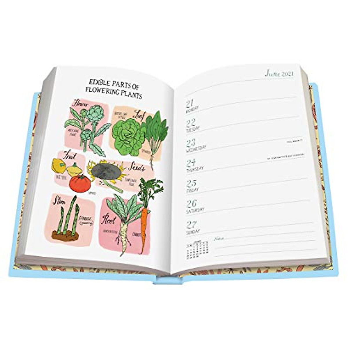 Julia Rothman: Farm, Food, Nature Engagement Calendar 2021