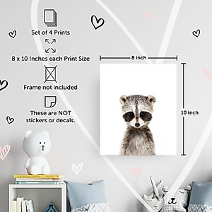 Designs by Maria Inc. Set of 6 UNFRAMED Woodland Nursery Decor Animal Posters | Zoo Theme Baby Room Decorations | Safari Jungle Nursery Wall Art Prints | Baby Animals Prints Nursery Decor Set (8"x10")